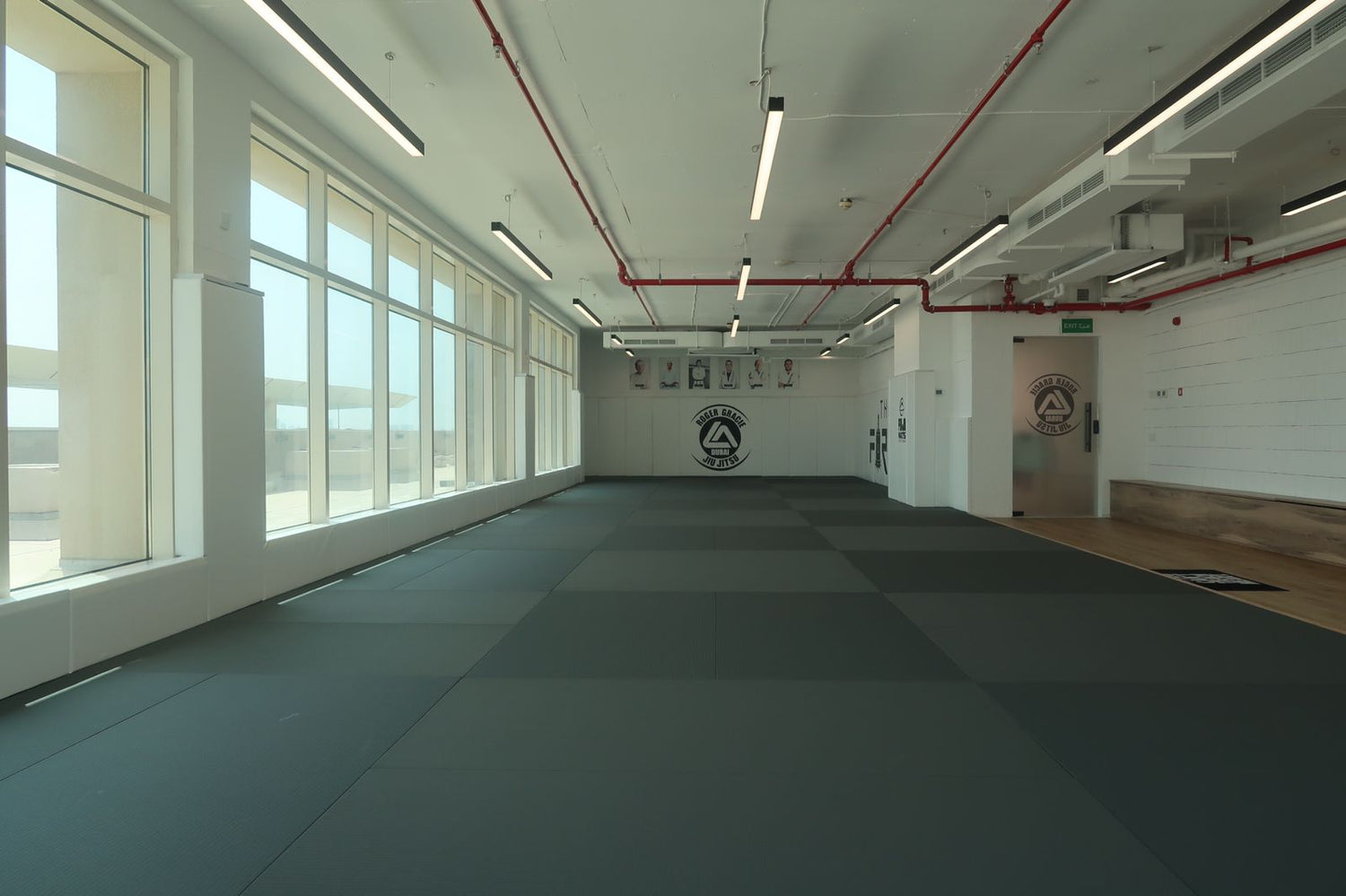 Roger Gracie Dubai